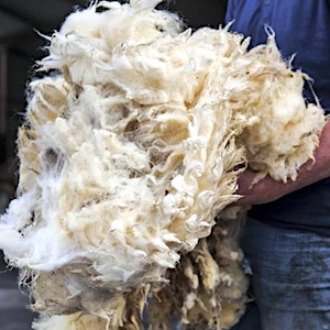 Hand Spinning News - January 2023 free edition