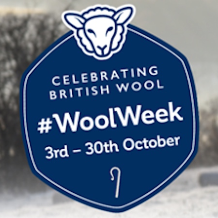 Hand Spinning News - October 2024 free edition